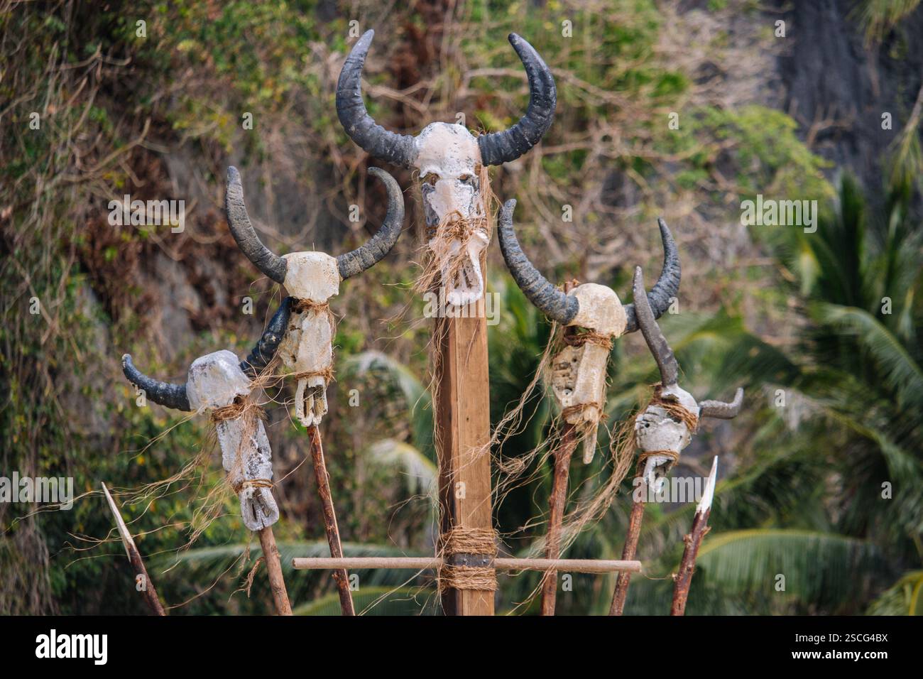 Skull cow on stick in hi-res stock photography and images - Alamy