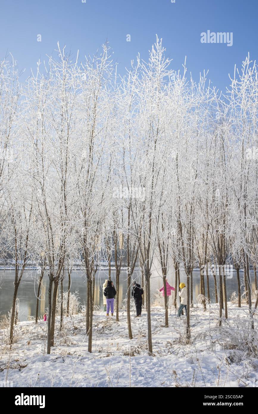 Rime scenery in Jilin City, northeast China's Jilin Province, 31 ...
