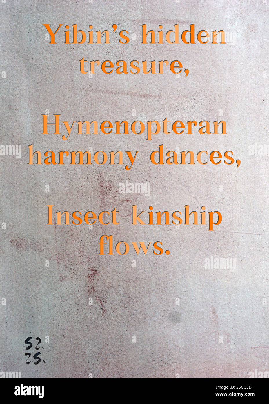 Yibin's hidden treasure, Hymenopteran harmony dances, Insect kinship ...