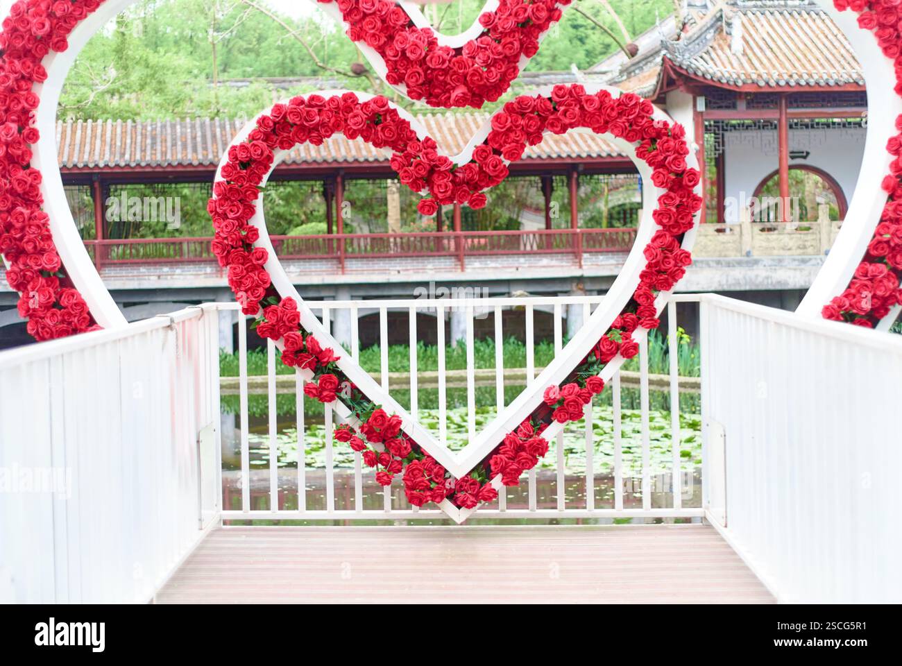 Heart-shaped roses background wall in Chengdu Cultural Park, China ...