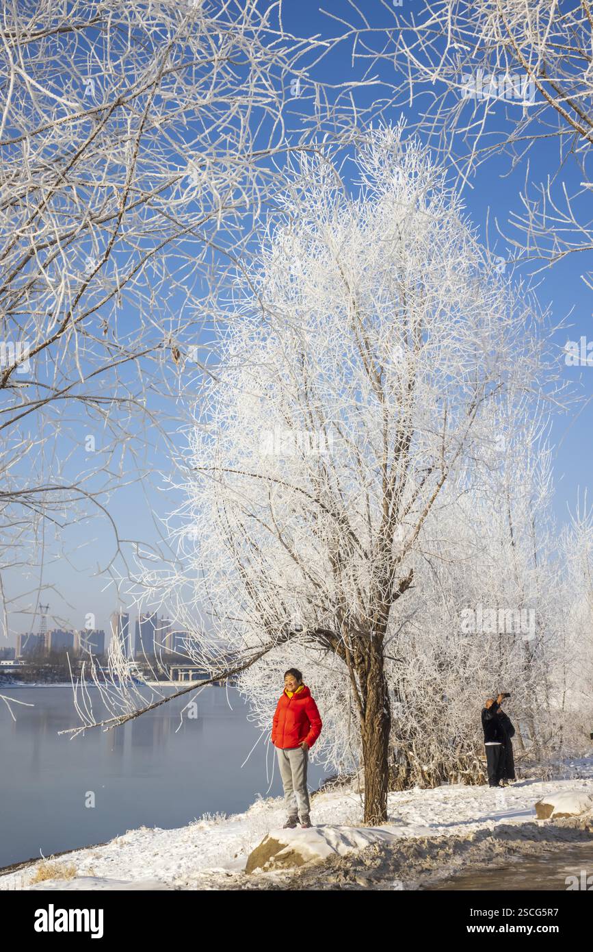 Rime scenery in Jilin City, northeast China's Jilin Province, 31 ...