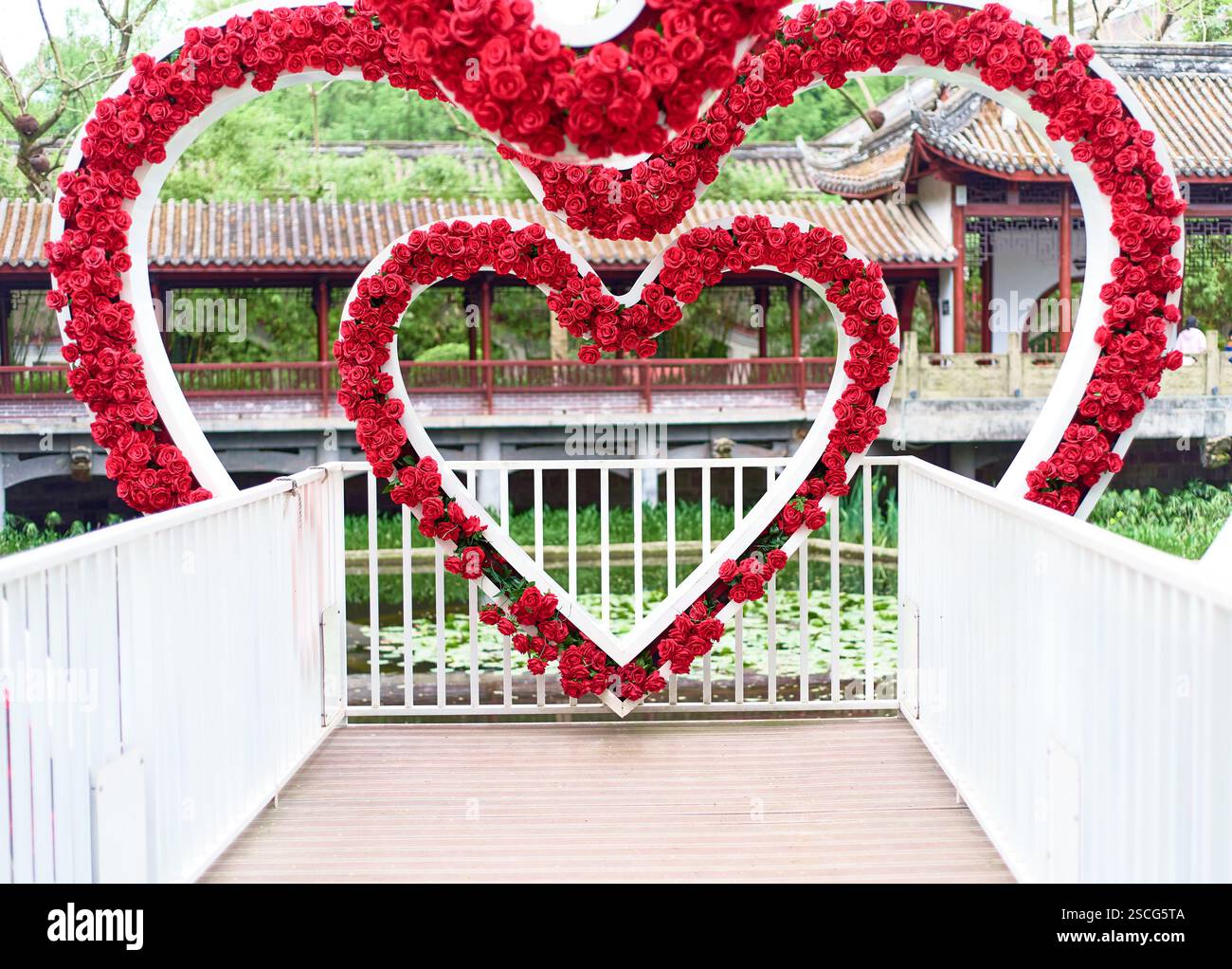 Heart-shaped roses background wall in Chengdu Cultural Park, China ...