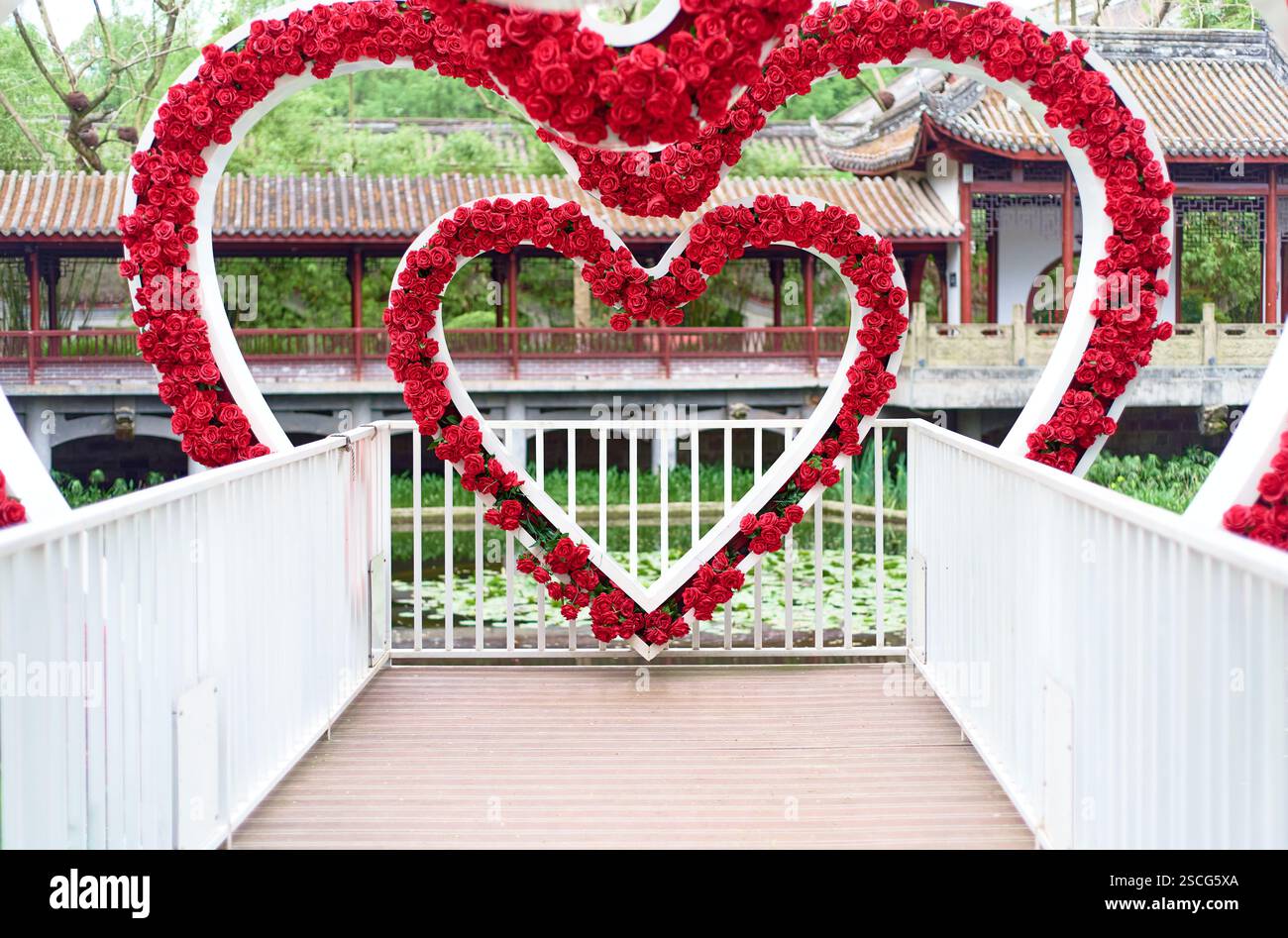 Heart-shaped roses background wall in Chengdu Cultural Park, China ...