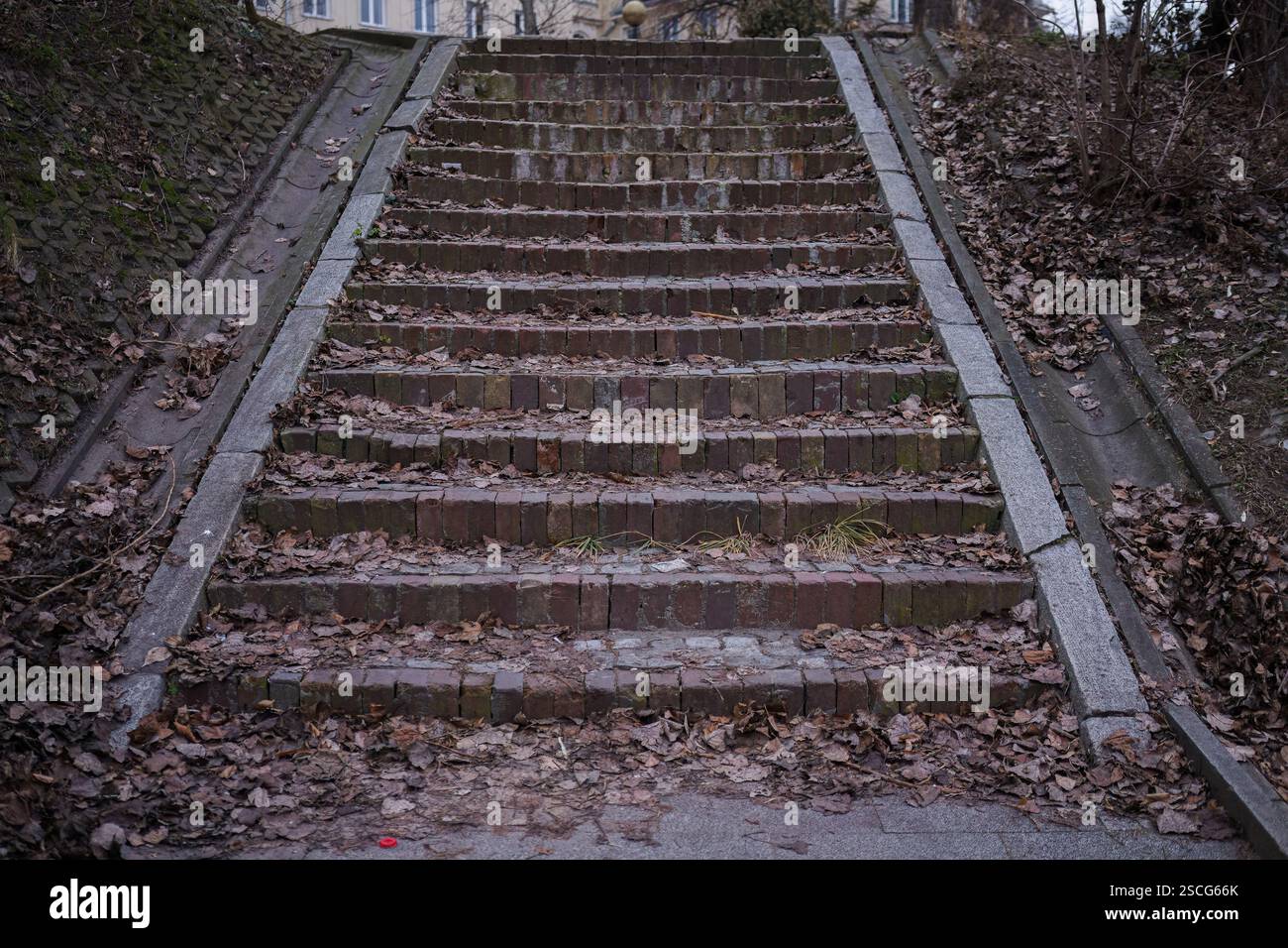 Old brick stairway covered with autumn leaves Stock Photo - Alamy