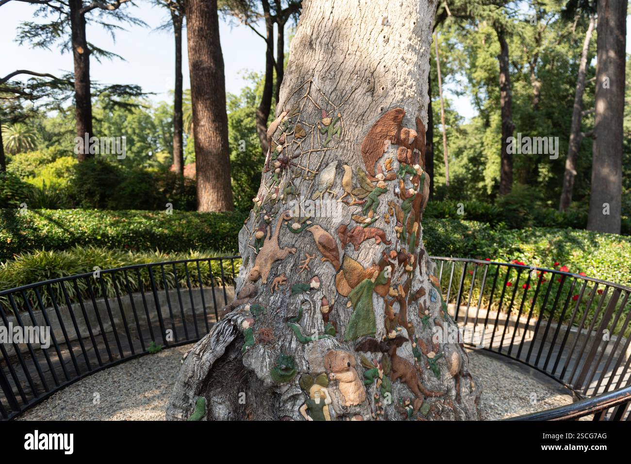 Tourist attraction in Fitzroy Gardens, carvings on a gum tree in ...