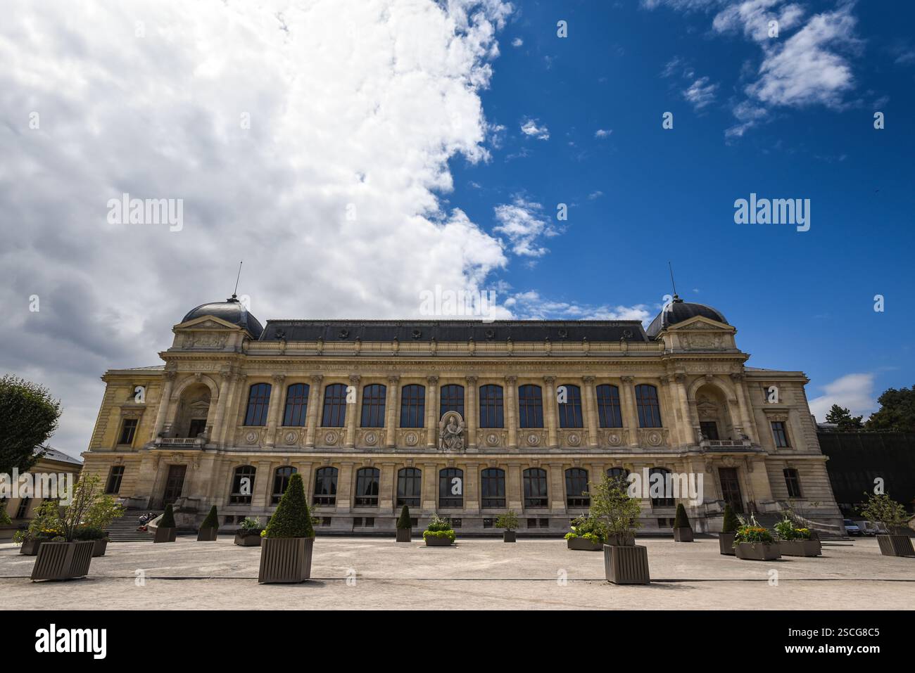 Sculptures de plantes hi-res stock photography and images - Alamy