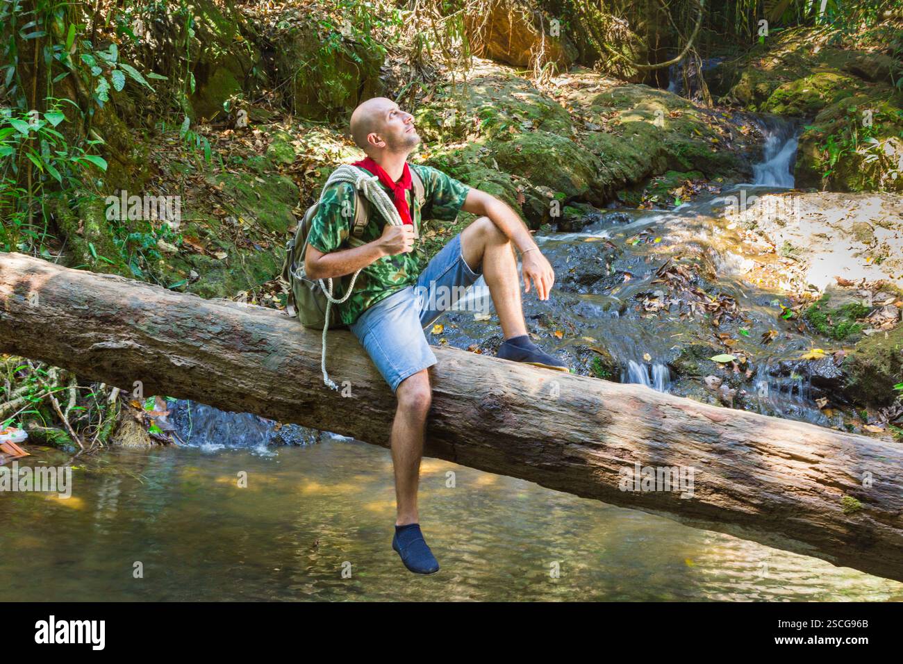 Tourist traveler with a backpack on a log in the jungle Stock Photo - Alamy