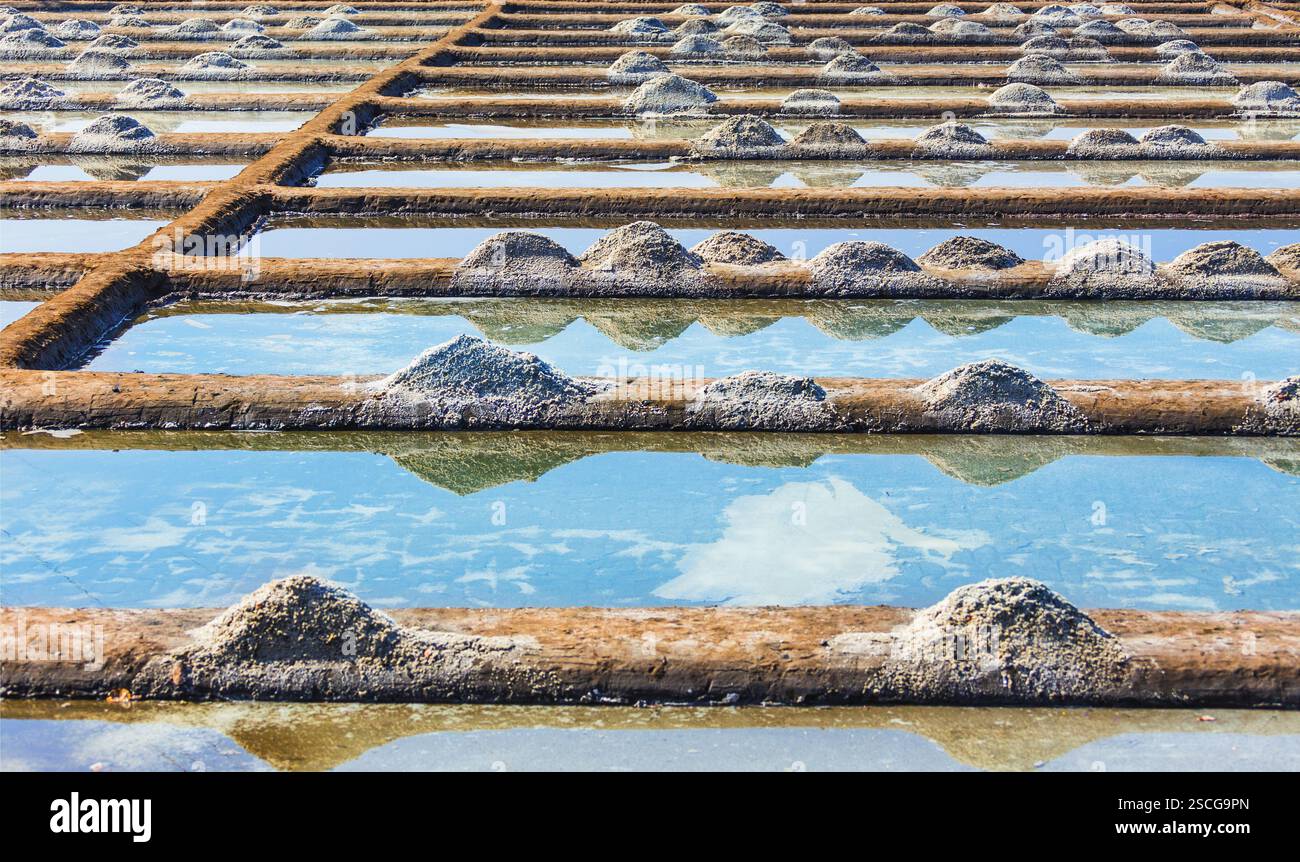 India, Goa, March 14 2017. Production of salt on a farm in India Stock ...