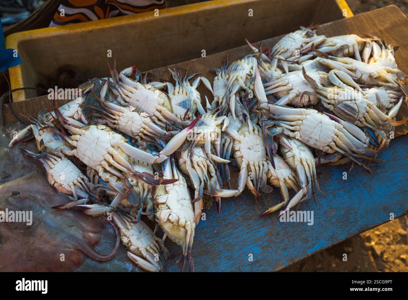 Sale of crabs in the markets of different cities of Goa and other ...