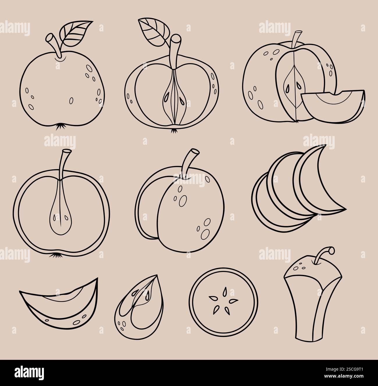 Outline Apples collection. Linear hand drawings. Fruit with leaves, cut ...