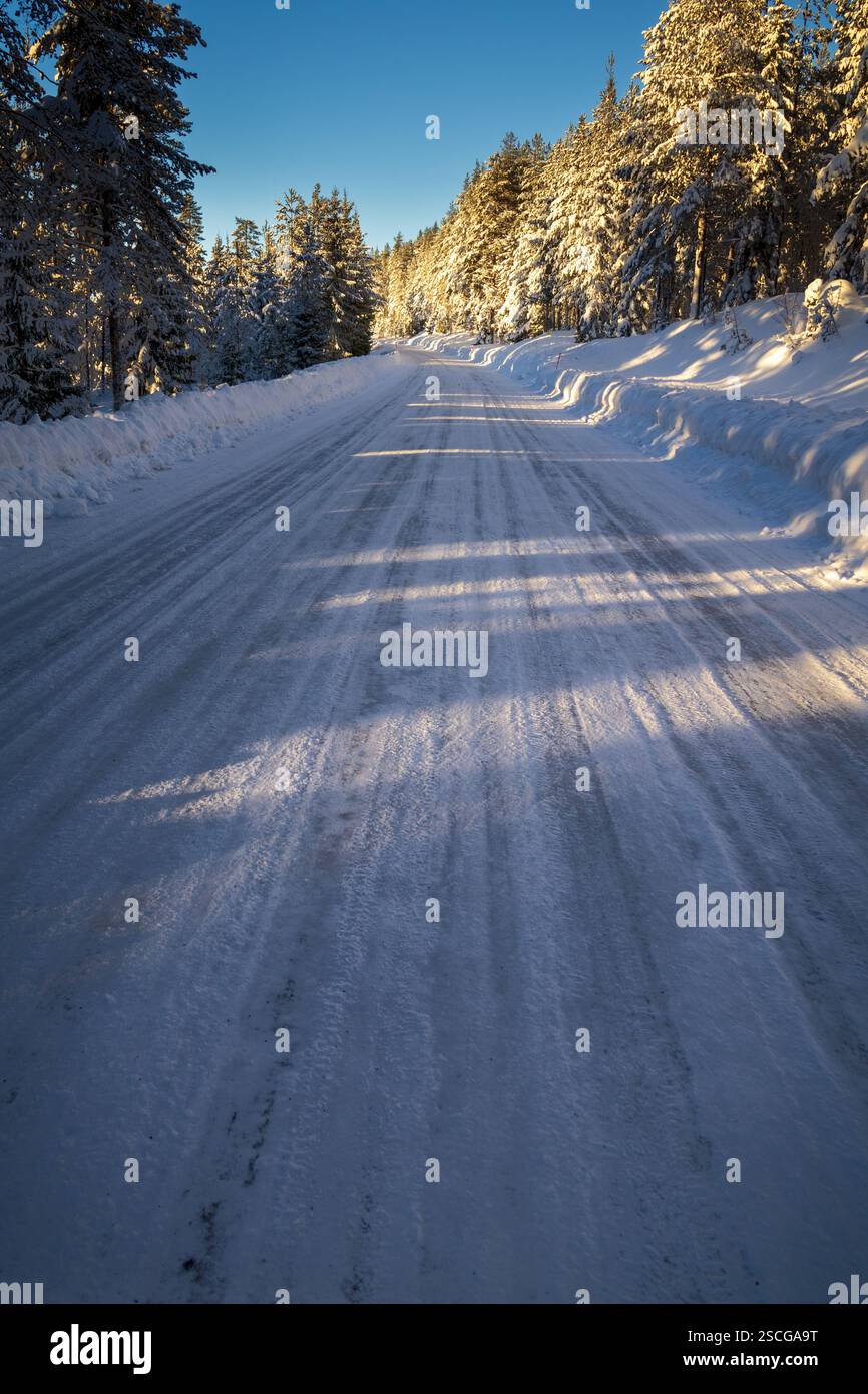 Mountain drive through pines winding hi-res stock photography and ...