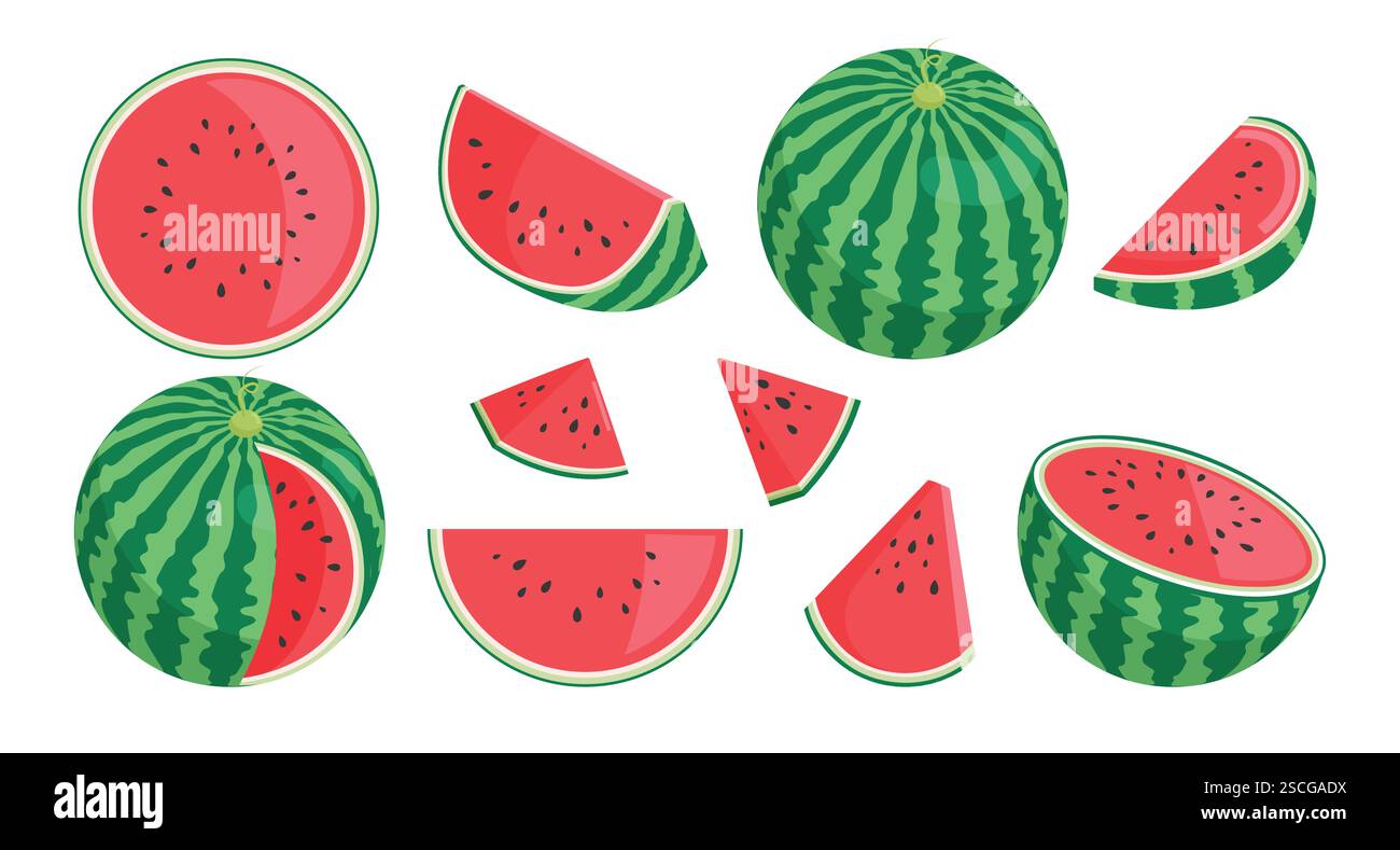 Watermelon summer fruit clipart set. Tropical fruit watermelon drawing ...