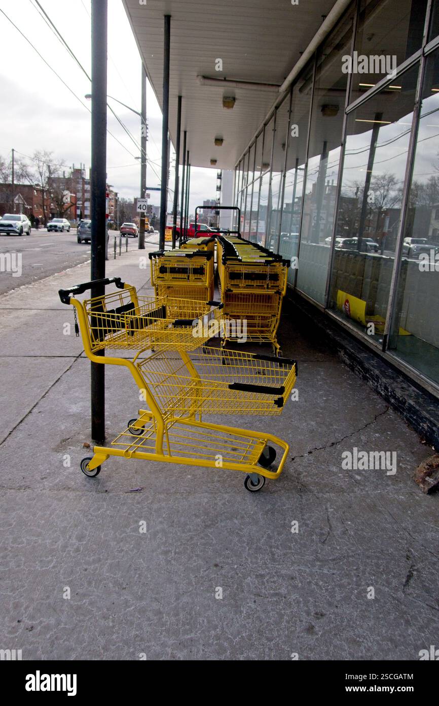 Toronto Canada - 6 January 2025 - Yellow shopping carts in front of ...