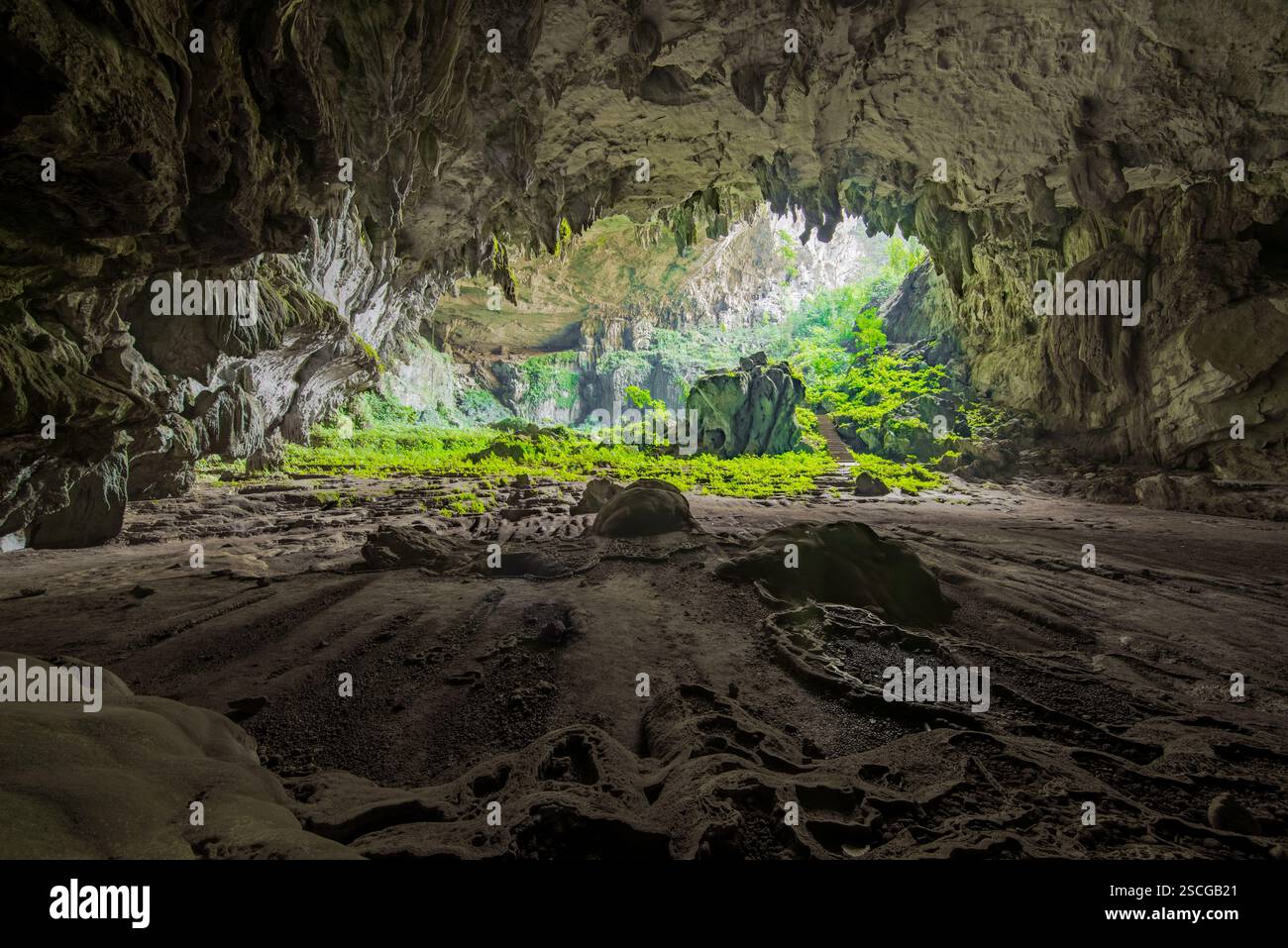 Mysterious Cave Interior with Lush Greenery and Rock Formations Stock ...