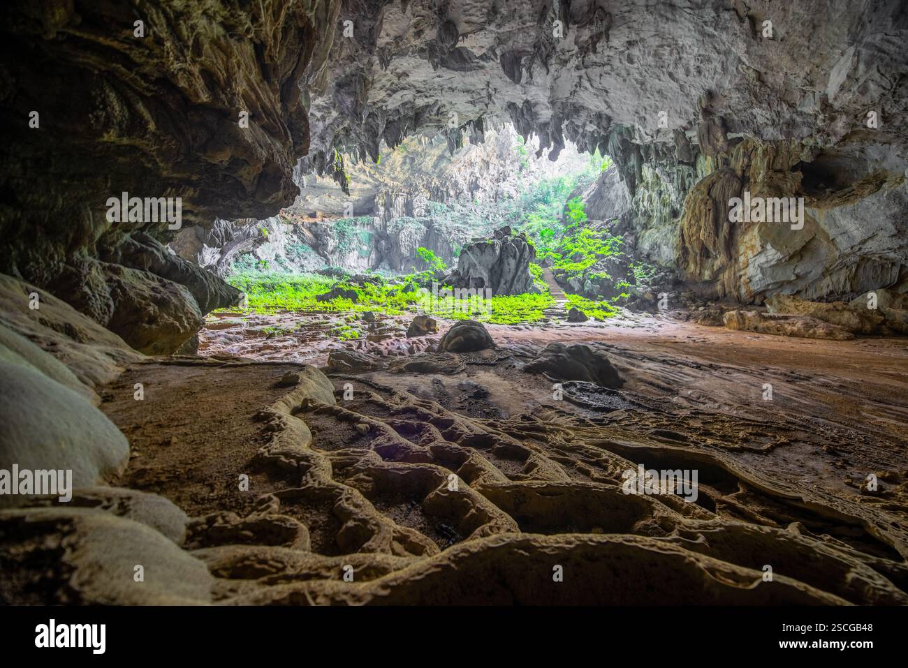Mysterious Cave Interior with Lush Greenery and Rock Formations Stock ...