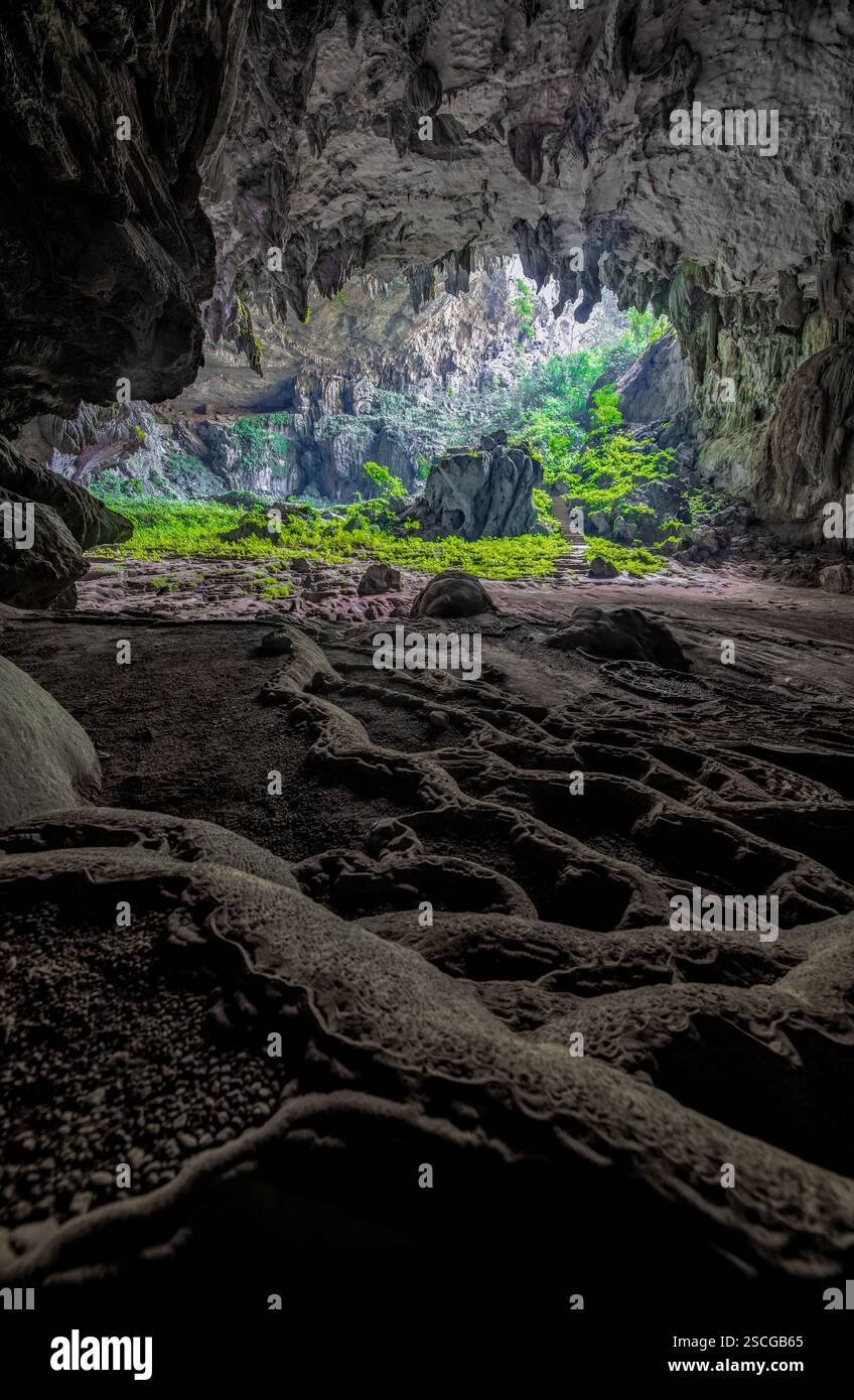 Mysterious Cave Interior with Lush Greenery and Rock Formations Stock ...