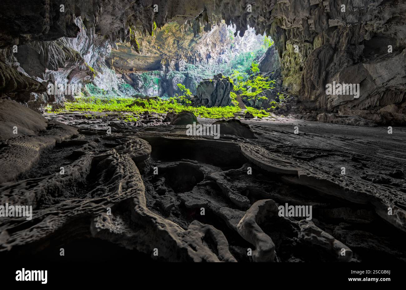 Mysterious Cave Interior with Lush Greenery and Rock Formations Stock ...
