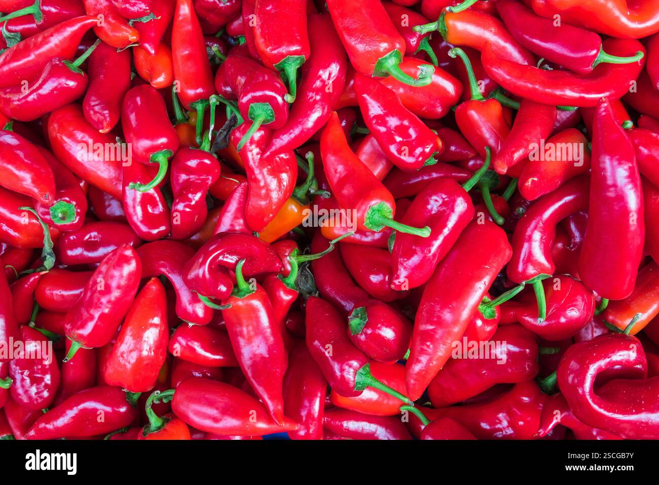 Sale of hot red pepper in Turkish markets Stock Photo - Alamy
