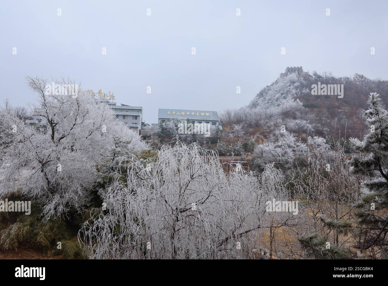 Aerial photo shows the rime scenery in Rizhao City, east China's ...