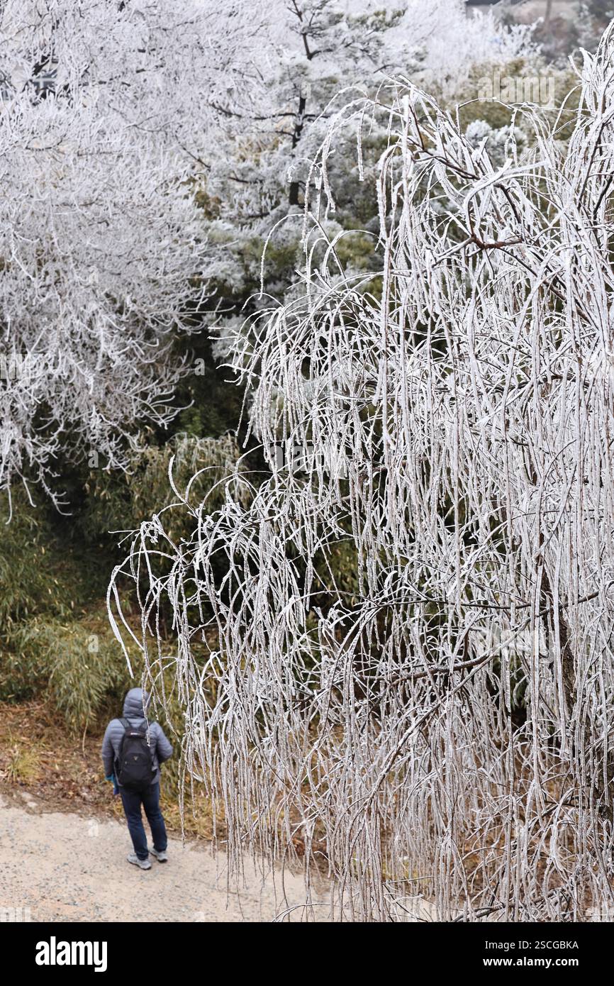 Aerial photo shows the rime scenery in Rizhao City, east China's ...