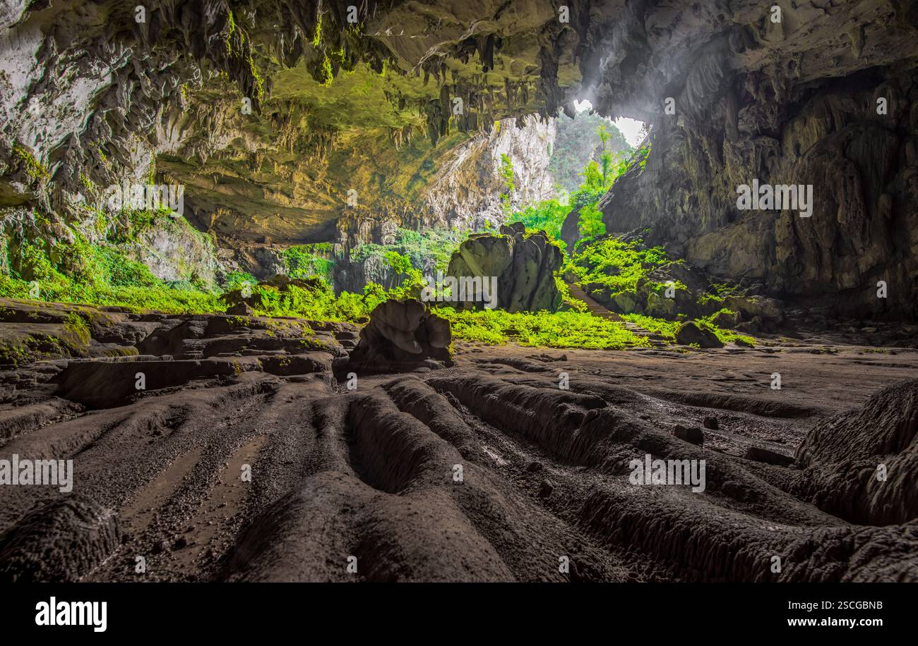 Mysterious Cave Interior with Lush Greenery and Rock Formations Stock ...