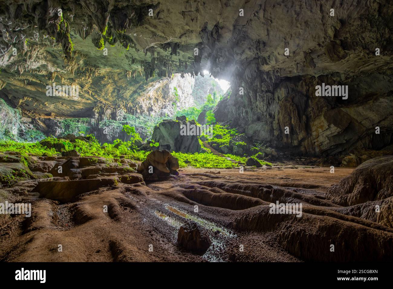 Mysterious Cave Interior with Lush Greenery and Rock Formations Stock ...