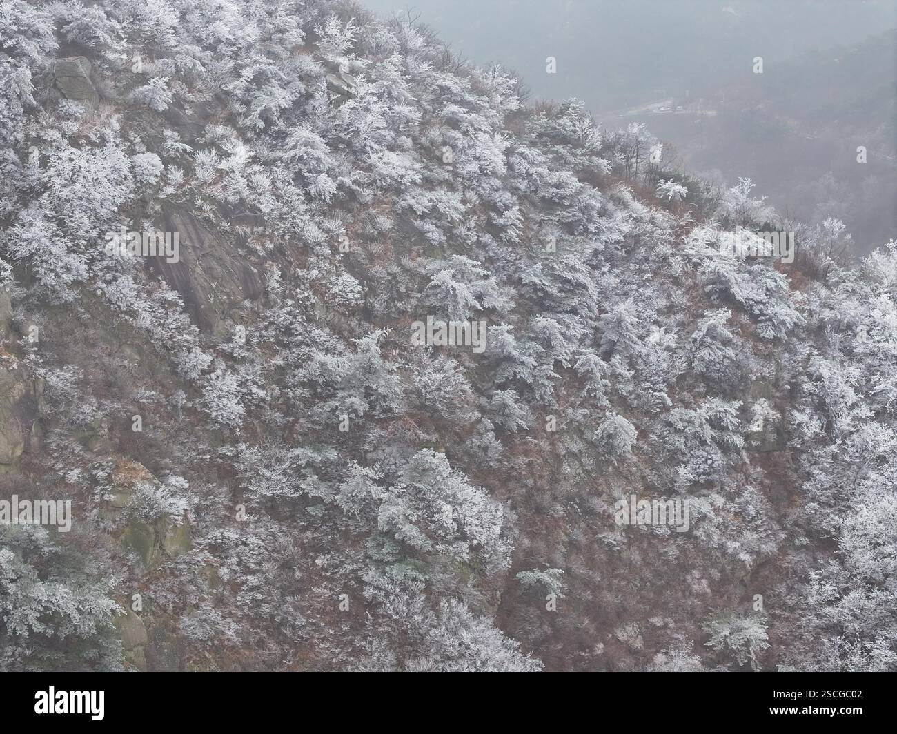 Aerial photo shows the rime scenery in Rizhao City, east China's ...