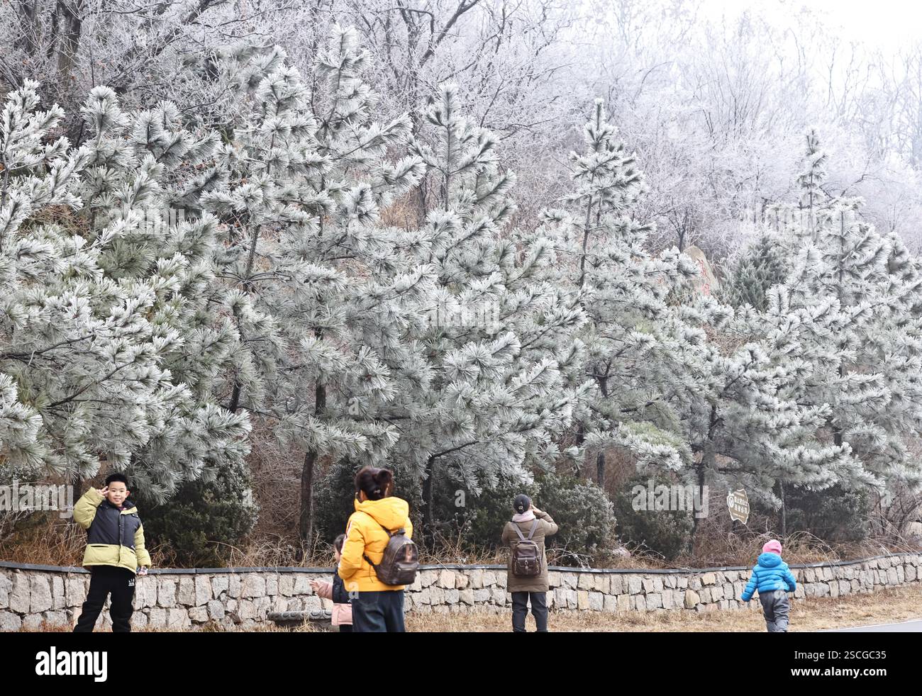 Aerial photo shows the rime scenery in Rizhao City, east China's Shandong Province, 1 February ...
