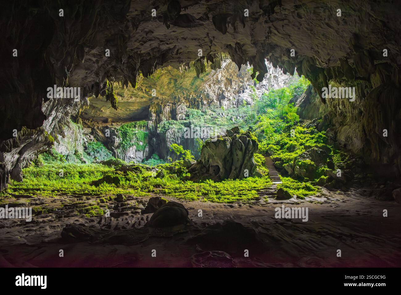 Mysterious Cave Interior with Lush Greenery and Rock Formations Stock ...