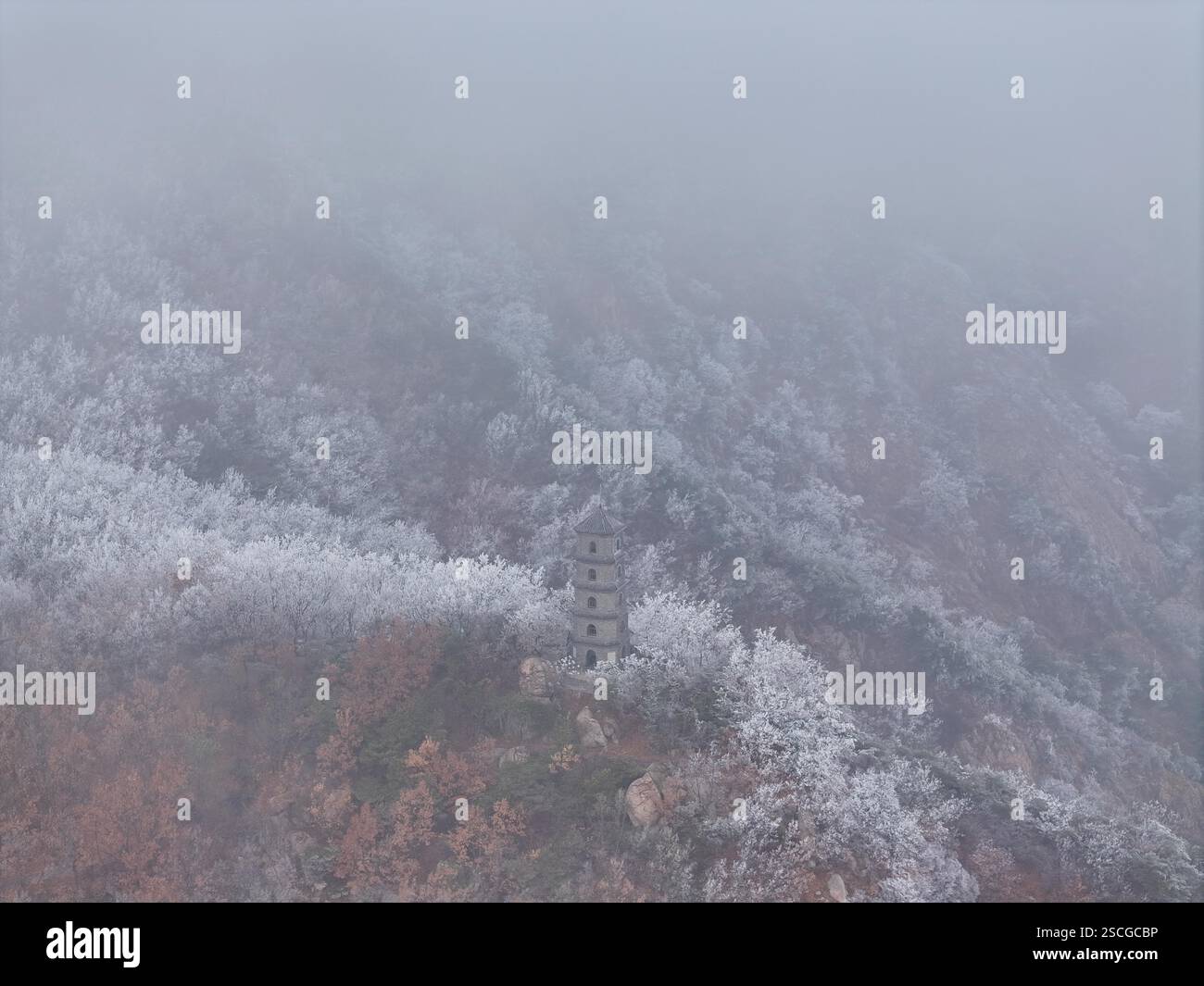 Aerial photo shows the rime scenery in Rizhao City, east China's ...