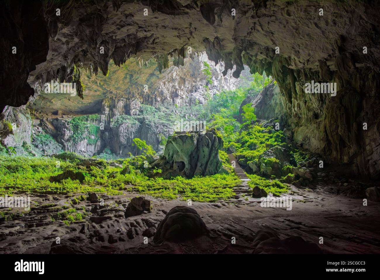 Mysterious Cave Interior with Lush Greenery and Rock Formations Stock ...