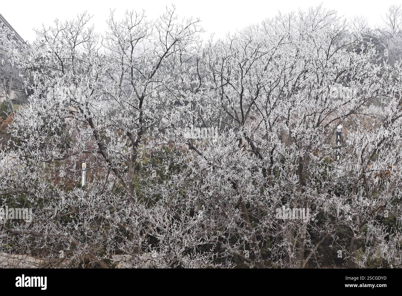 Aerial photo shows the rime scenery in Rizhao City, east China's ...