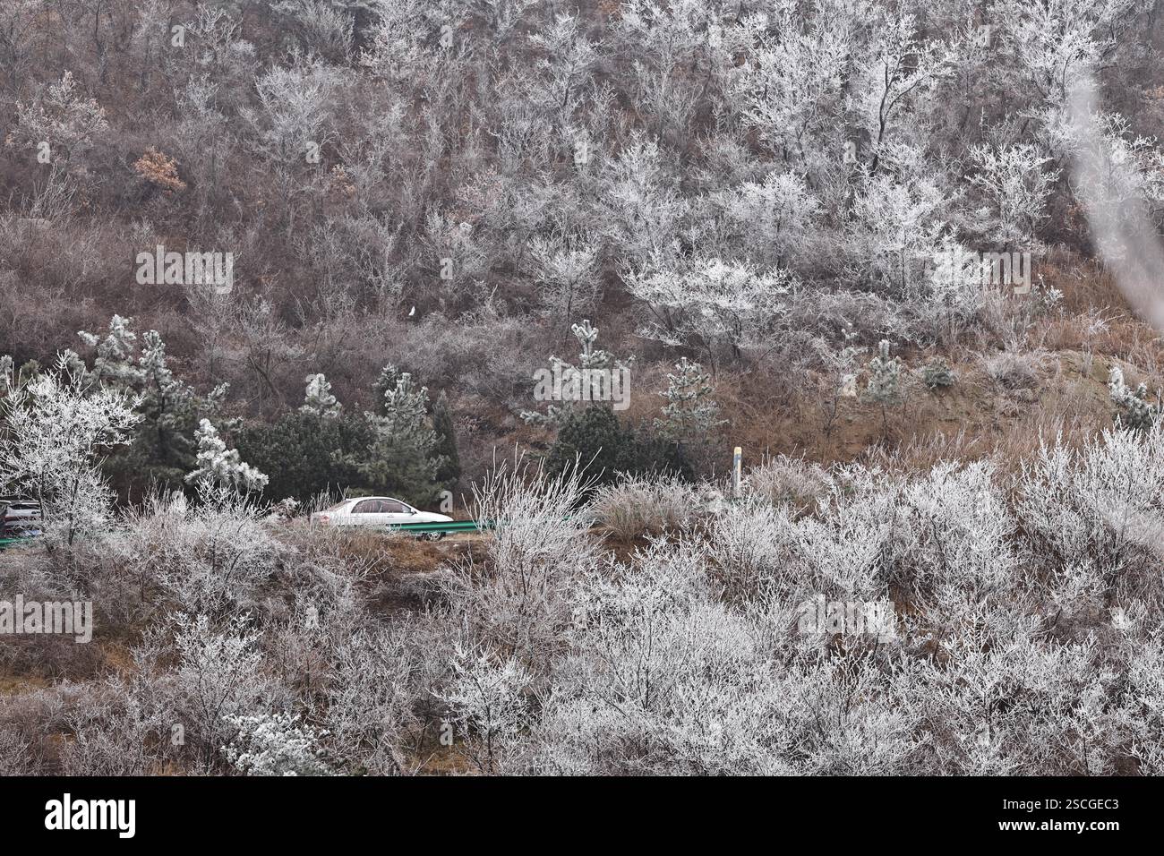 Aerial photo shows the rime scenery in Rizhao City, east China's ...