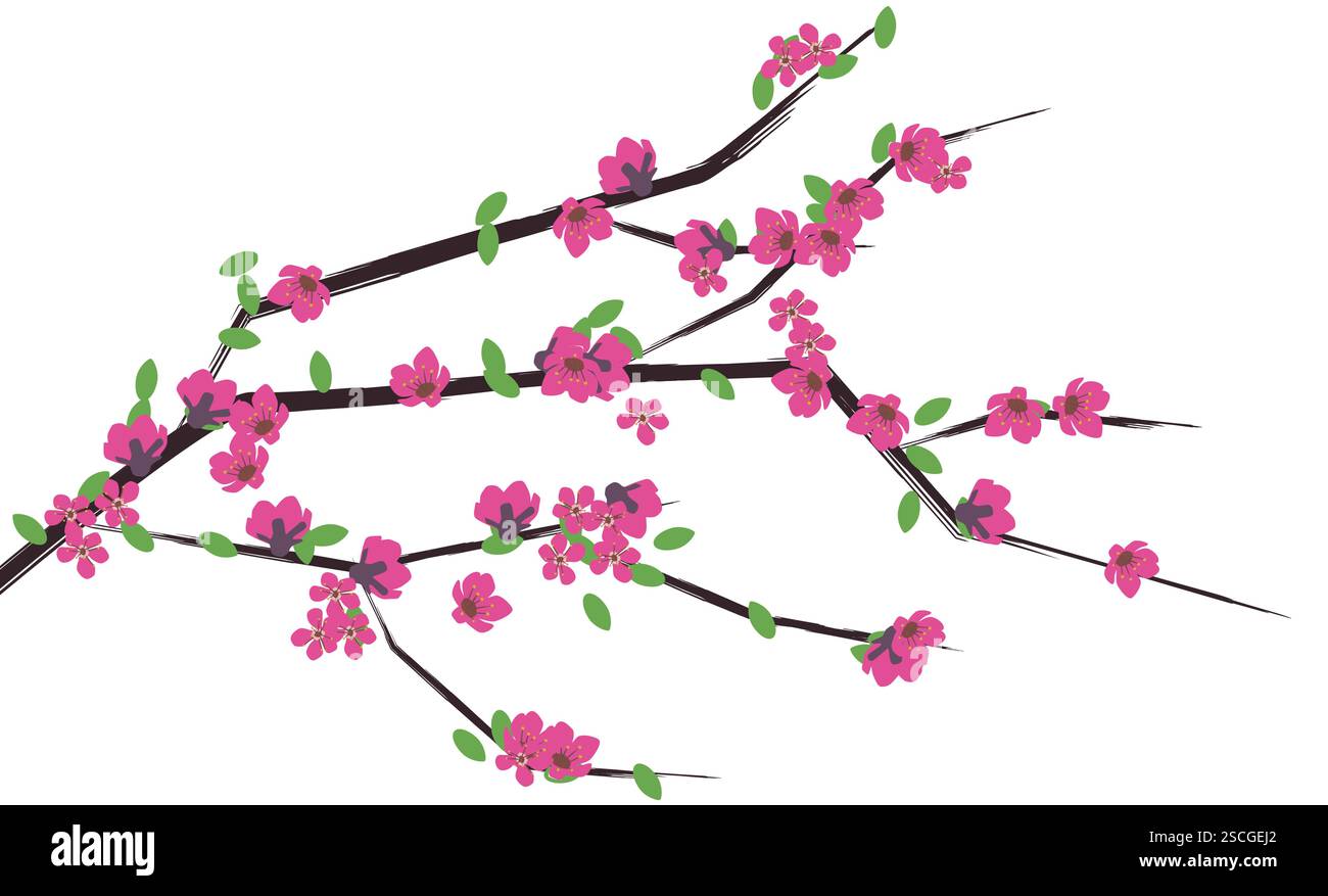 Spring Sakura cherry blooming flowers branch element Stock Vector Image ...