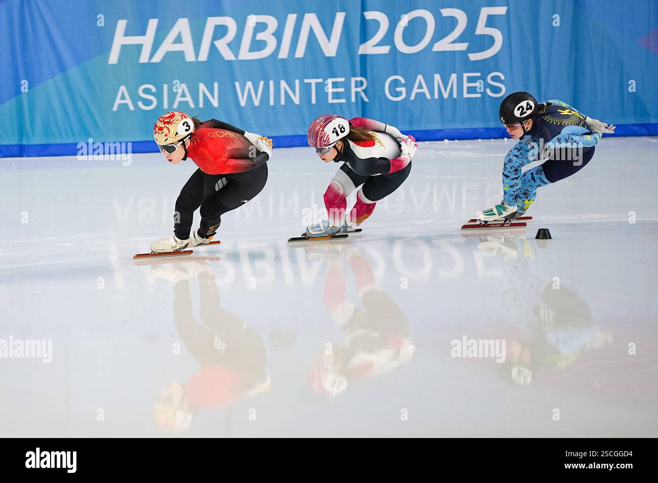 Harbin,China.7th February 2025. Gong Li #3 of China competes in the ...