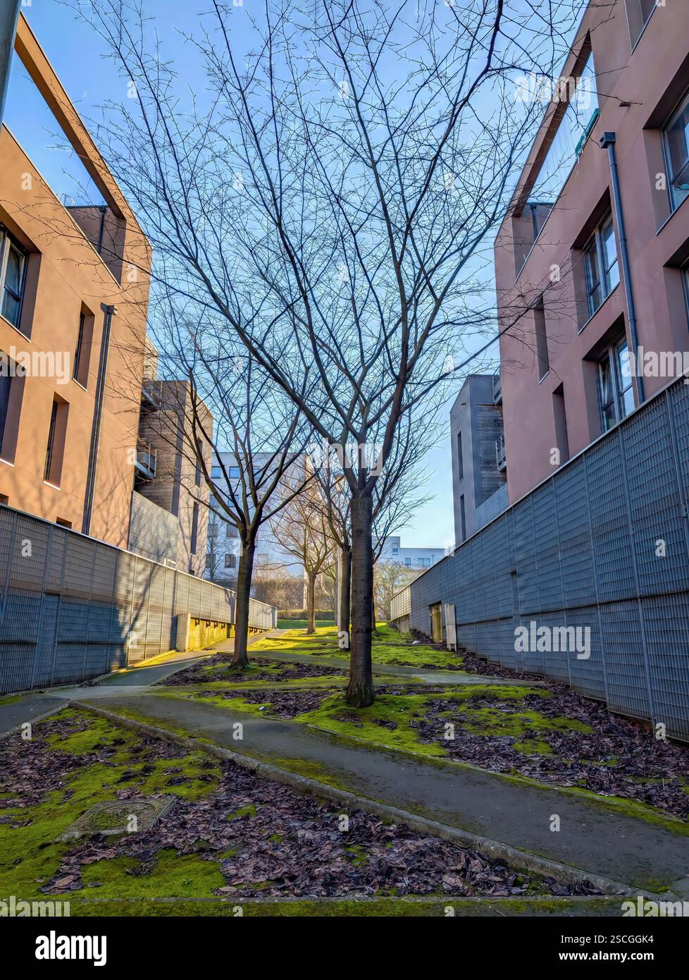 Green path between two red brick buildings in the north of France Stock ...