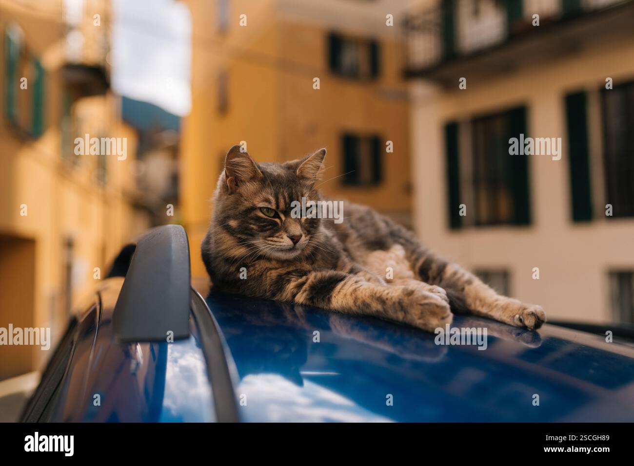 Sunny rooftop scene in hi-res stock photography and images - Alamy