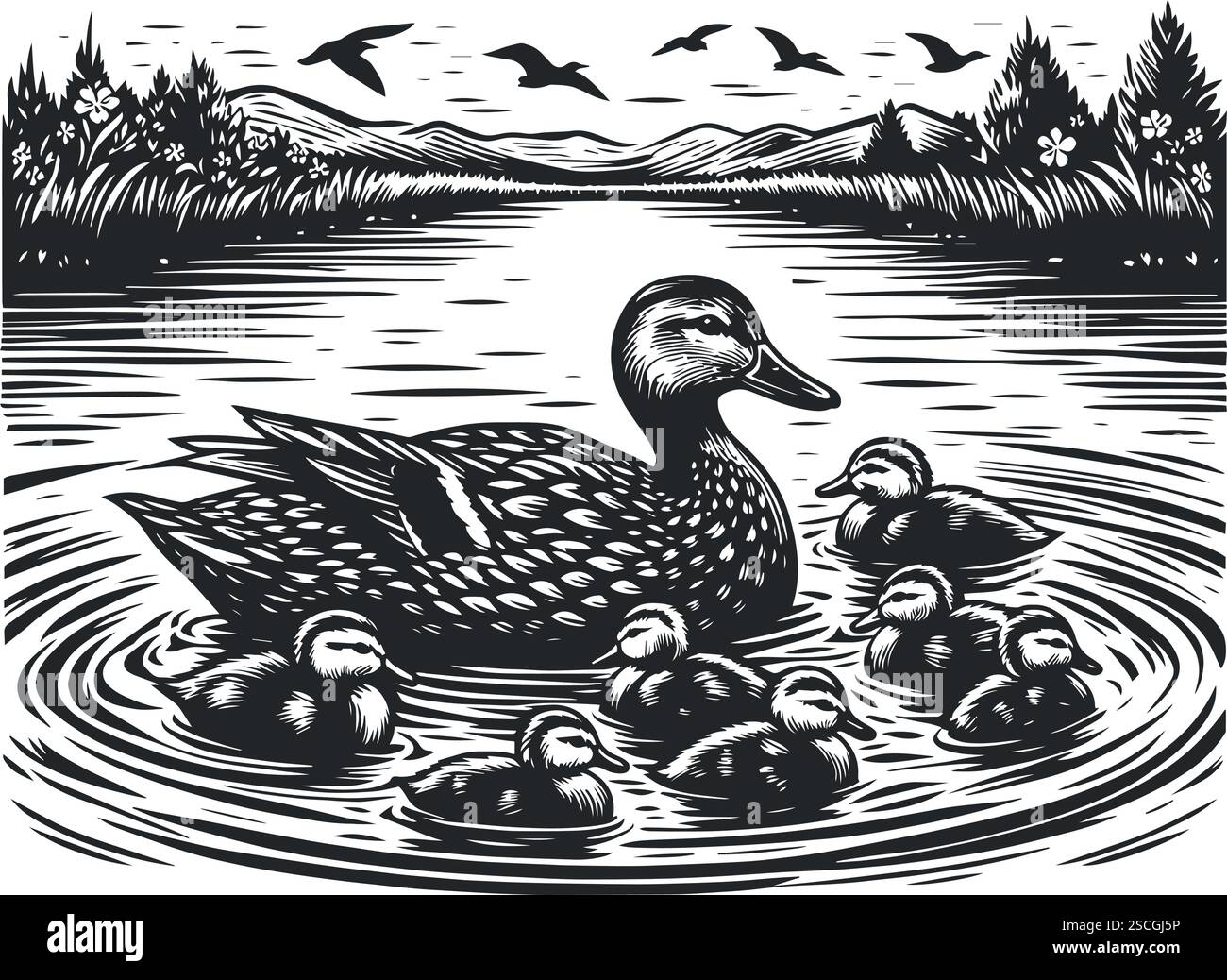 Duck Family in a Serene Pond: Black and White Nature Illustration Stock Vector Image & Art - Alamy
