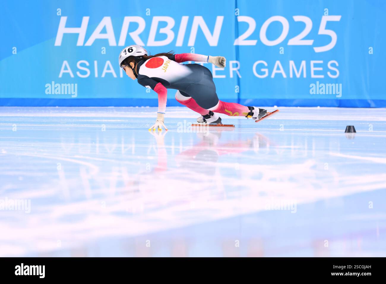 Harbin, China. 7th Feb, 2025. Rina Shimada (JPN) Short Track Skating ...