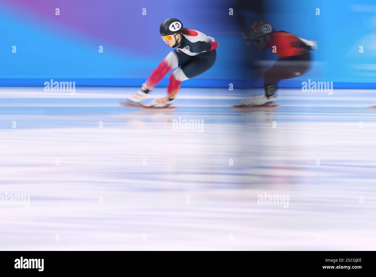 Harbin, China. 7th Feb, 2025. Kurumi Shimane (JPN) Short Track Skating ...