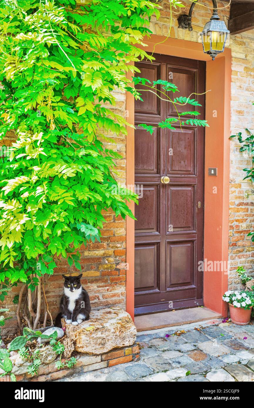 Entrance to the old Italian house and the cat on the doorstep Stock ...