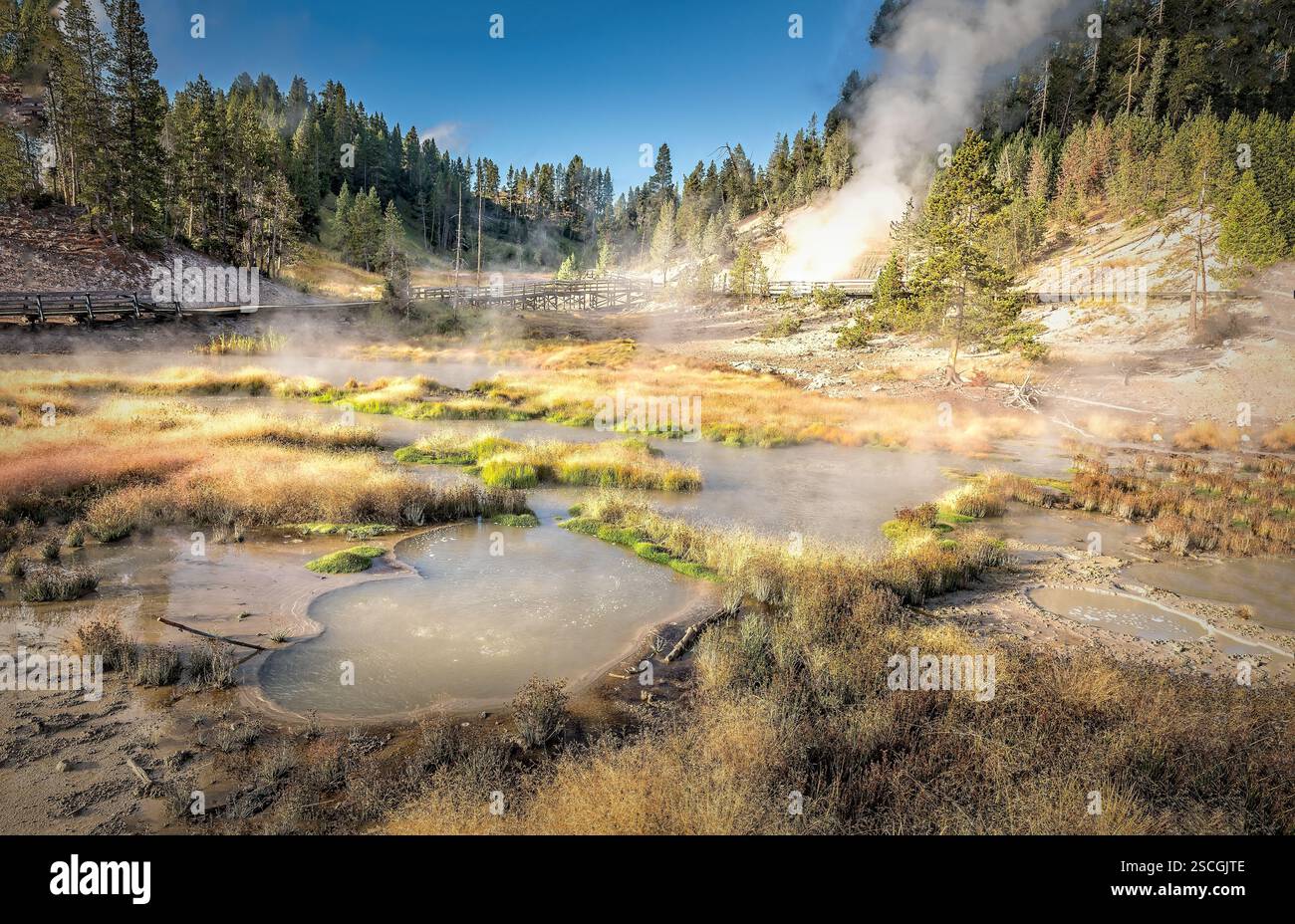 Geysers and boardwalks in the Yellowstone National Park Stock Photo - Alamy