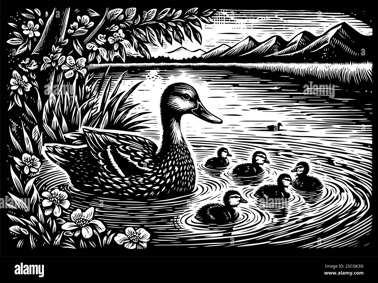 Duck Family in a Serene Pond: Black and White Nature Illustration Stock Vector Image & Art - Alamy