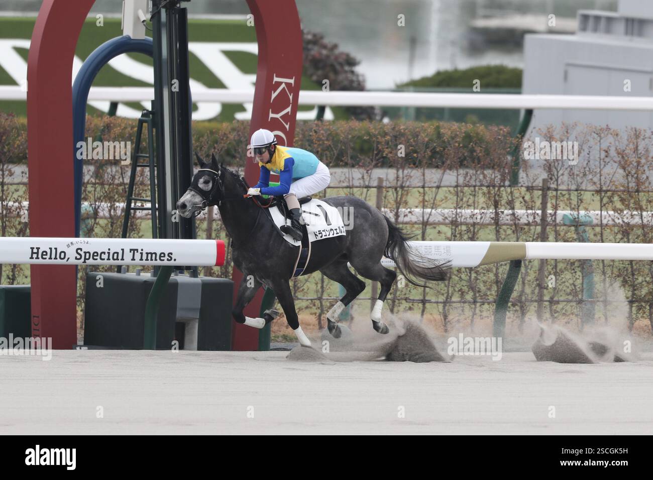 2025/02/01 KYOTO 07R Dragon Welds (USA)/Yuichi Kitamura Jockey Kyoto ...