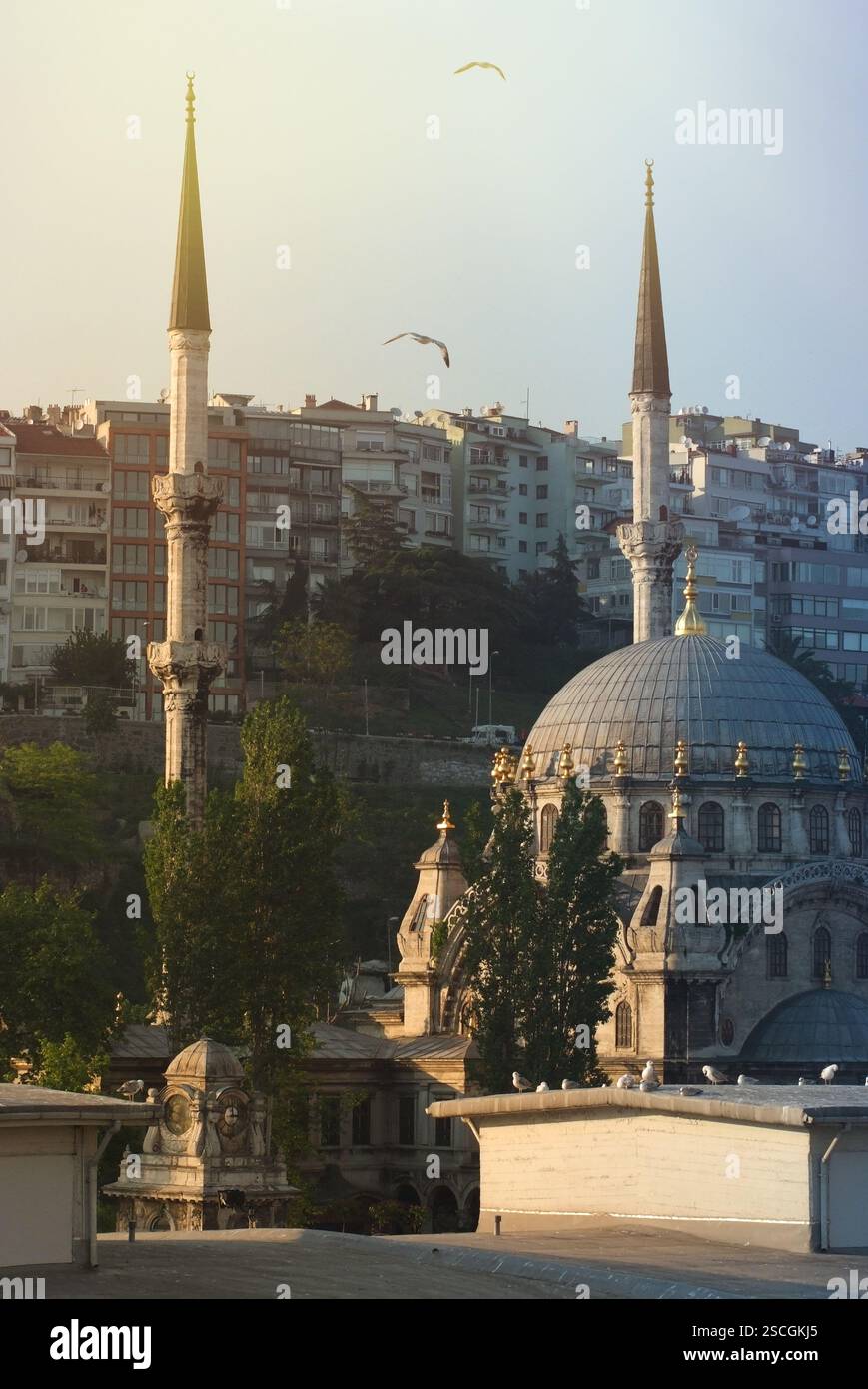 View of Istanbul’s historic mosque with domes and minarets, surrounded ...
