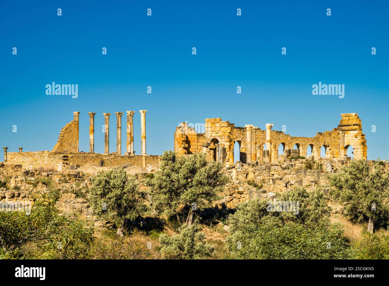 The Capitoline Temple and the Basilica at Volubilis Roman Ruins ...