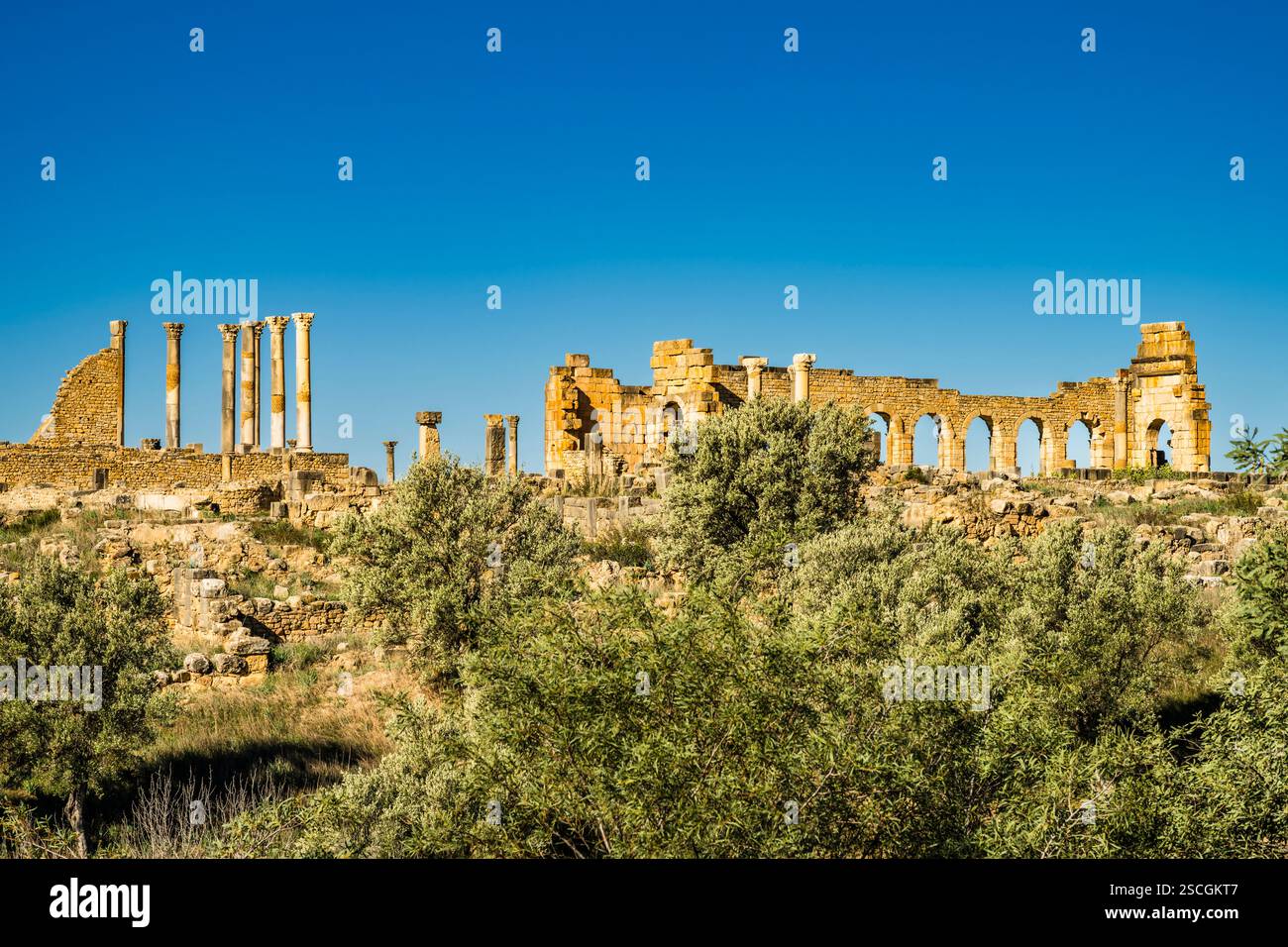 The Capitoline Temple and the Basilica, Volubilis Roman Ruins, Morocco ...