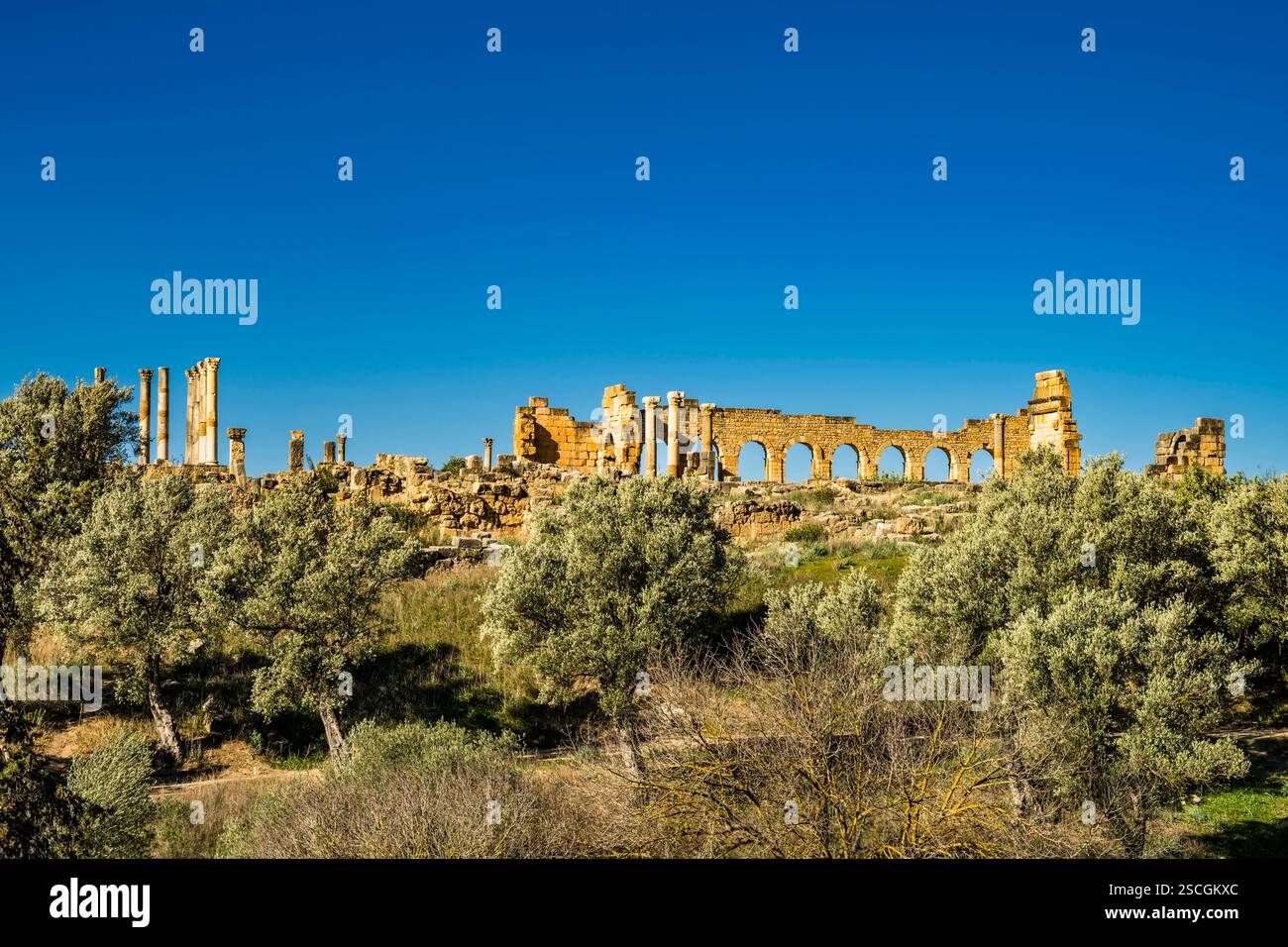 Capitoline Temple and Basilica at Volubilis Roman Ruins, Morocco Stock ...