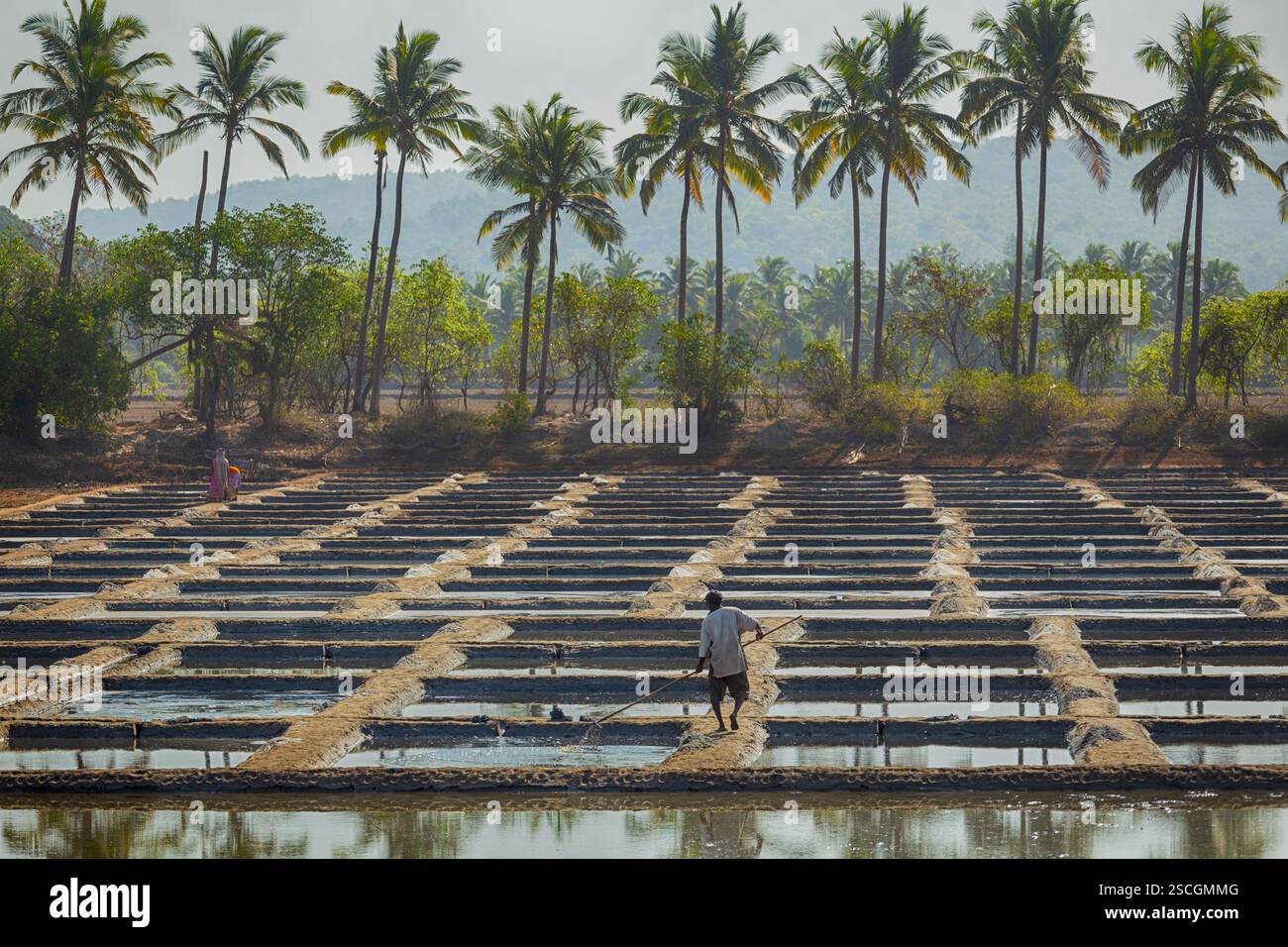 India, Goa, March 14 2017. Production of salt on a farm in India Stock ...