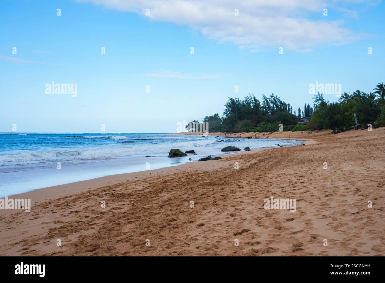 Golden sand scattered rocks hi-res stock photography and images - Alamy